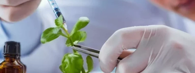 Level 3 Award Conservation Scientist | learndirect