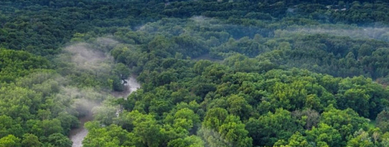 Conservation Course | Online Training Courses | learndirect