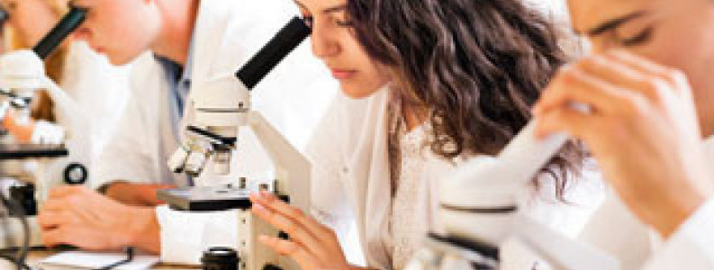 A-Level Biology | learndirect