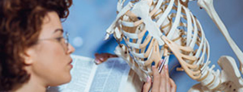 Anatomy & Physiology Online Course | learndirect Anatomy & Physiology Online Course | learndirect