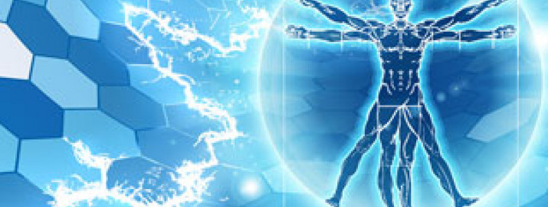 Energy Anatomy Course | Online Training Course | learndirect