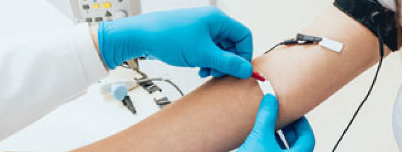 Human Physiology and Health | Online Courses | learndirect