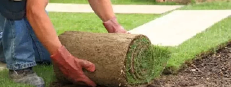Landscaping Course | Online Training Courses | learndirect