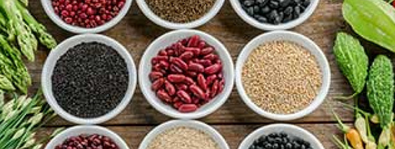 Macrobiotics Course | Online Training Courses | learndirect