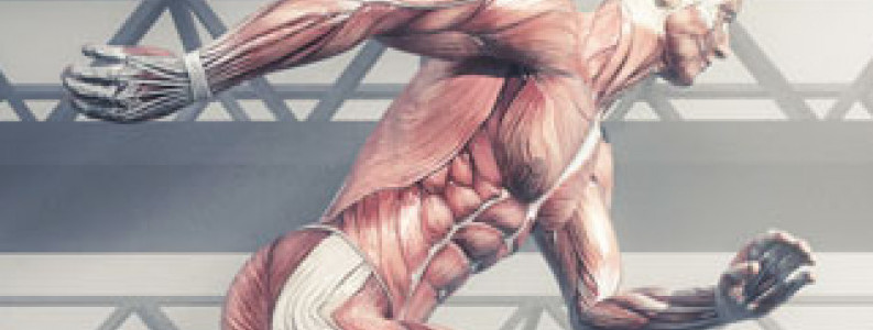 Physiology Course | Online Training Courses | learndirect