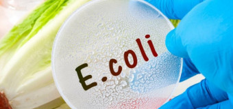 Healthcare Course | Online Course and Training | learndirect