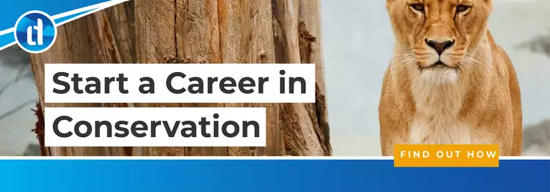 learndirect - How to start a Career in Conservation