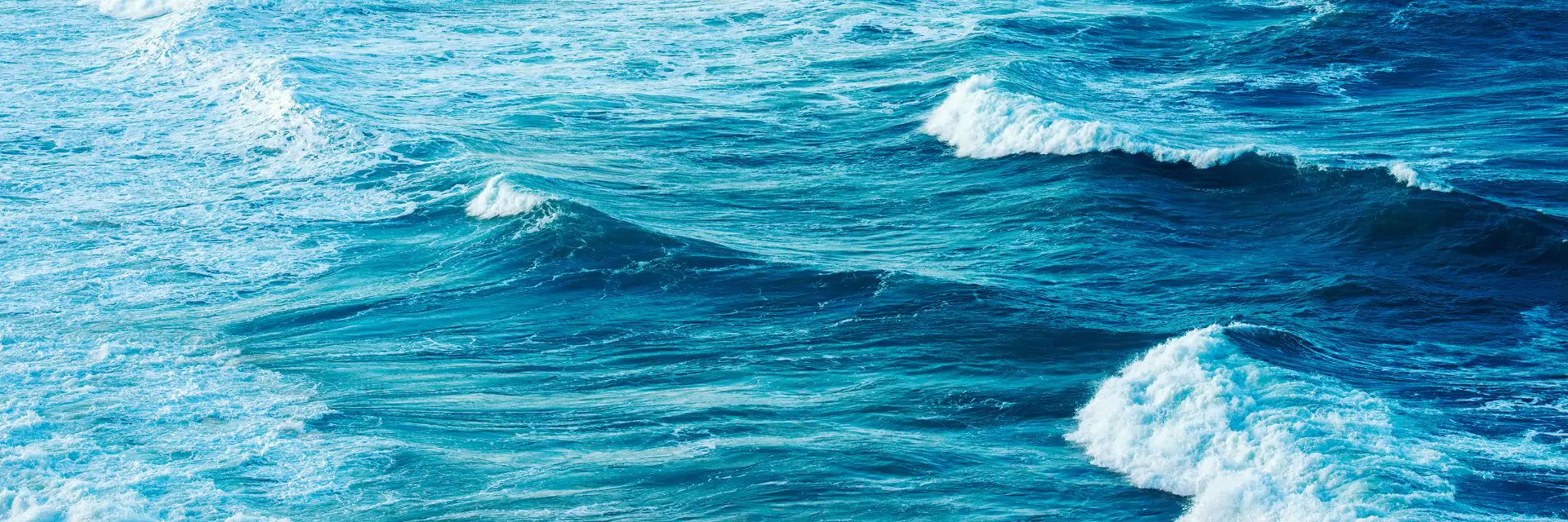 Why Ocean Conservation is Important | learndirect