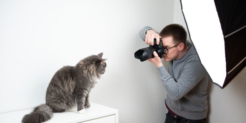 Pet Photography Explained | Animal Courses | learndirect