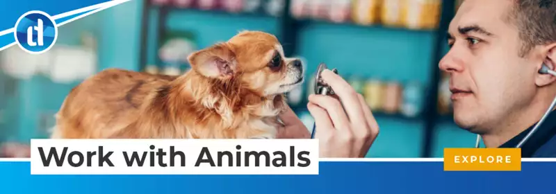 I want a job working with animals – what careers are there | learndirect