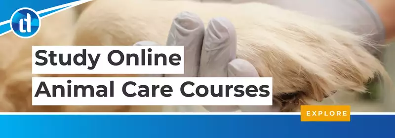 learndirect - What Animal Care Course is right for me?