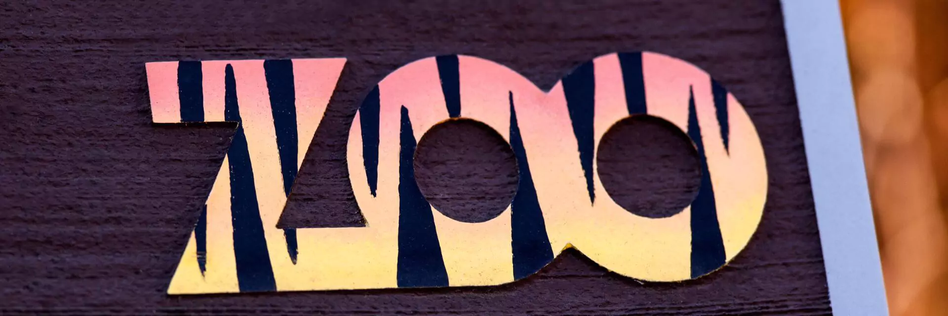 How a Zookeeper Diploma Course Can Transform Your Career | learndirect