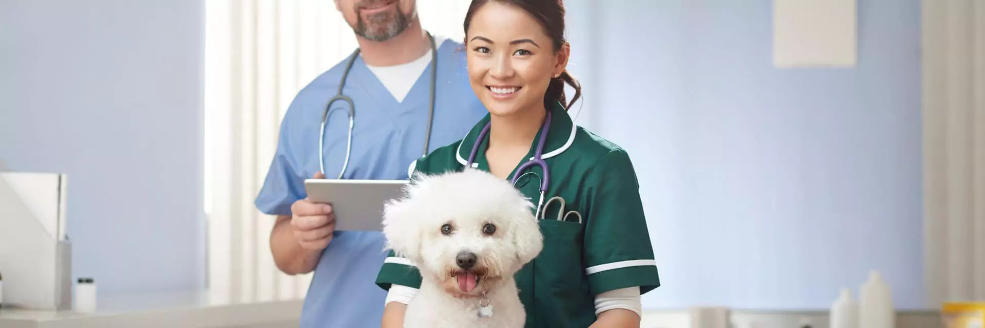 How To Go From Vet Nurse To Vet | learndirect