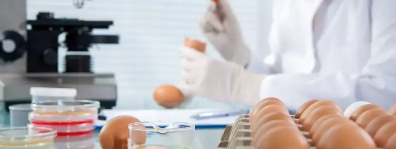 Food Safety Courses | Study Online Today | learndirect.